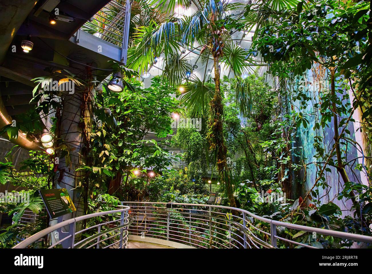 Gorgeous waterfall behind green trees and vines in rainforest biome ...