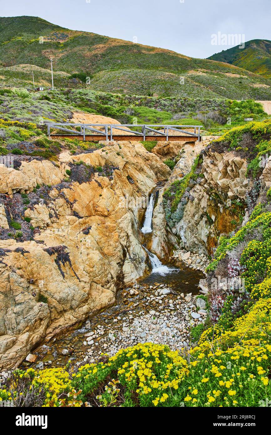 Bridge over small creek with two waterfalls leading into shallow pool ...