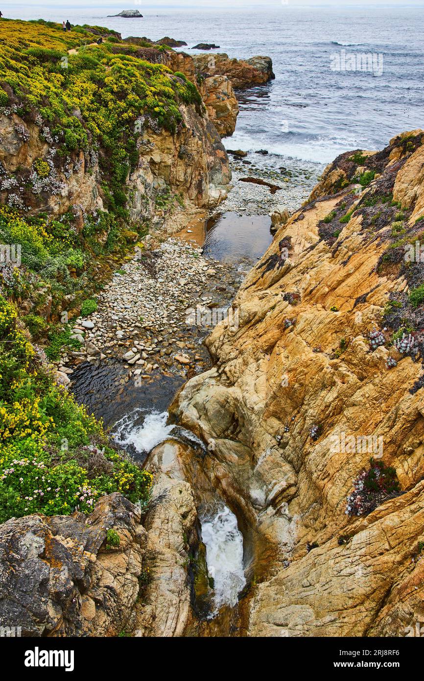 Two waterfalls cutting between cliff rock with yellow wildflowers and ...