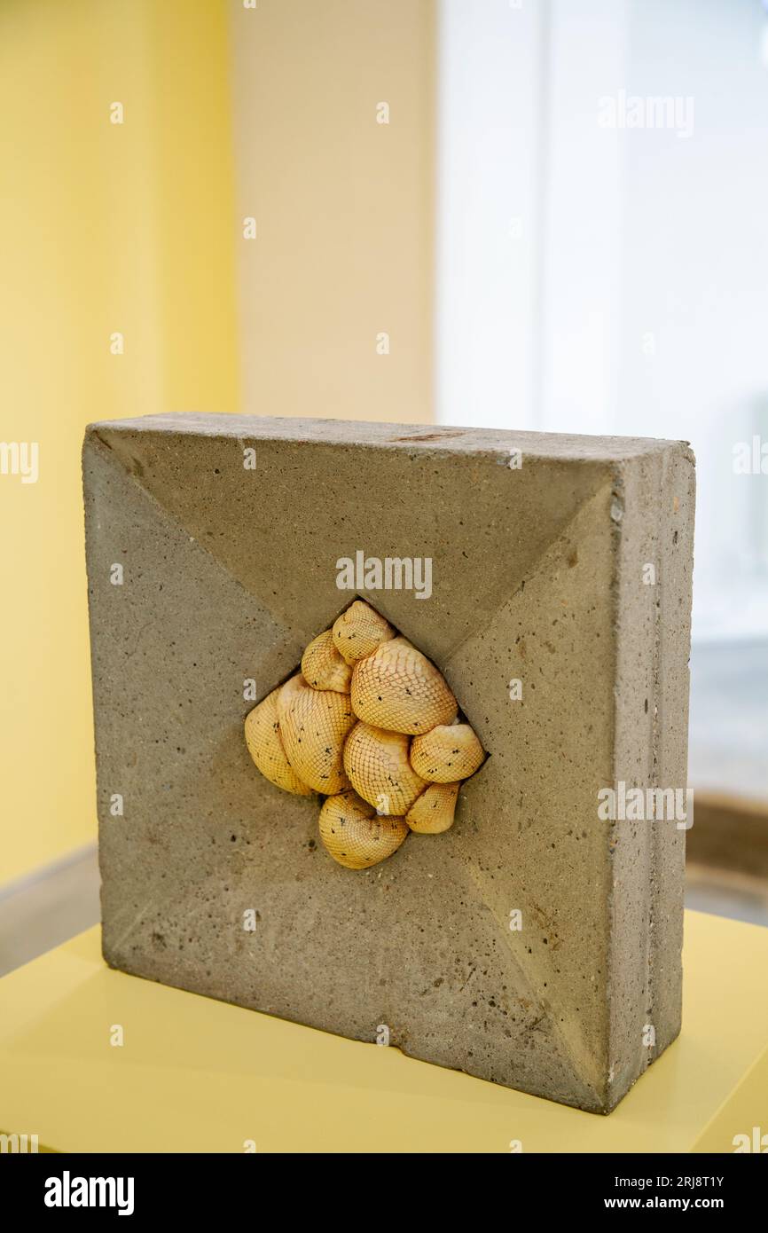 Polly Morgan - Understand Your Audience (2020) on display during group ... Polly Morgan - Understand Your Audience (2020) on display during group ...