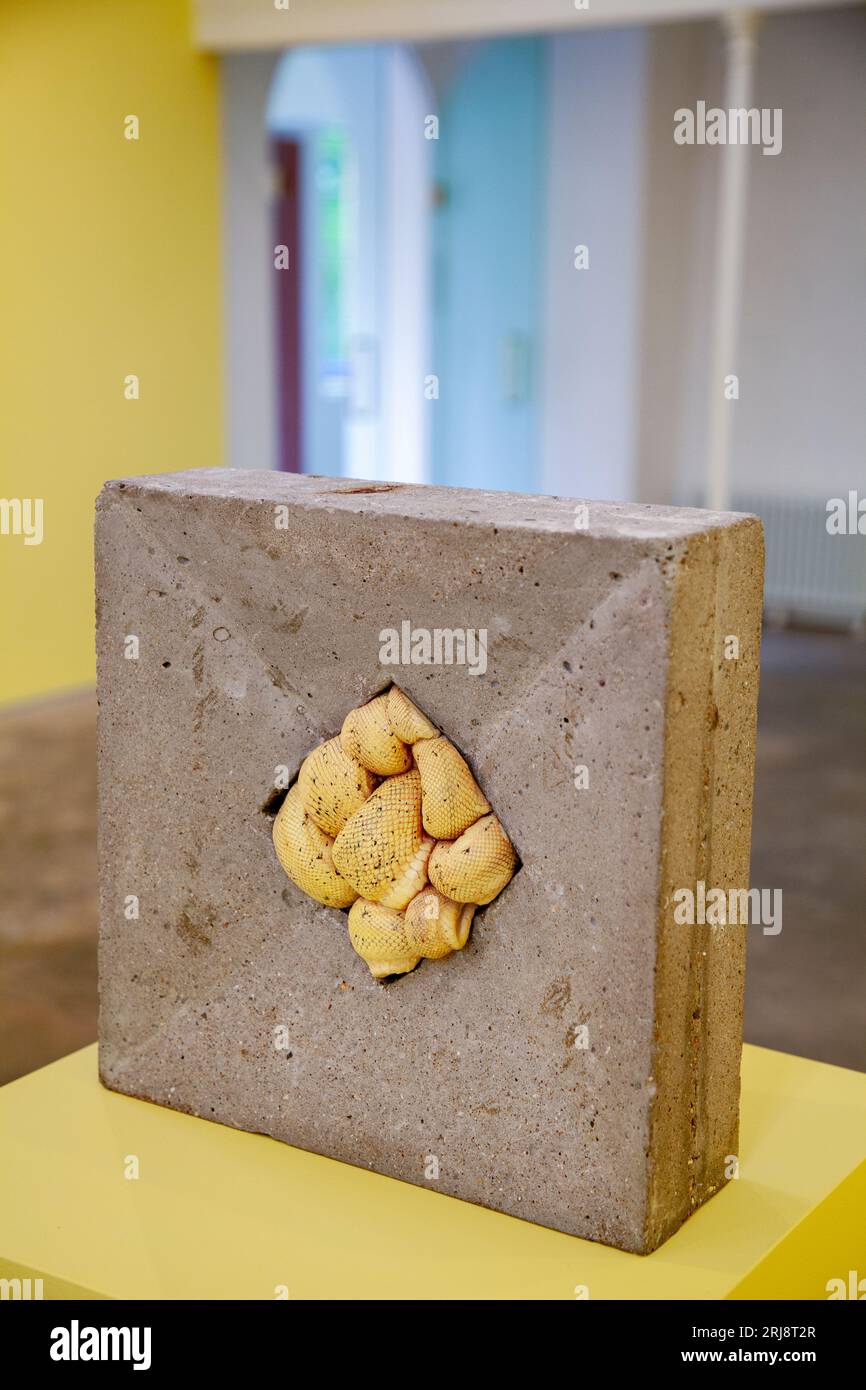 Polly Morgan - Understand Your Audience (2020) on display during group ...