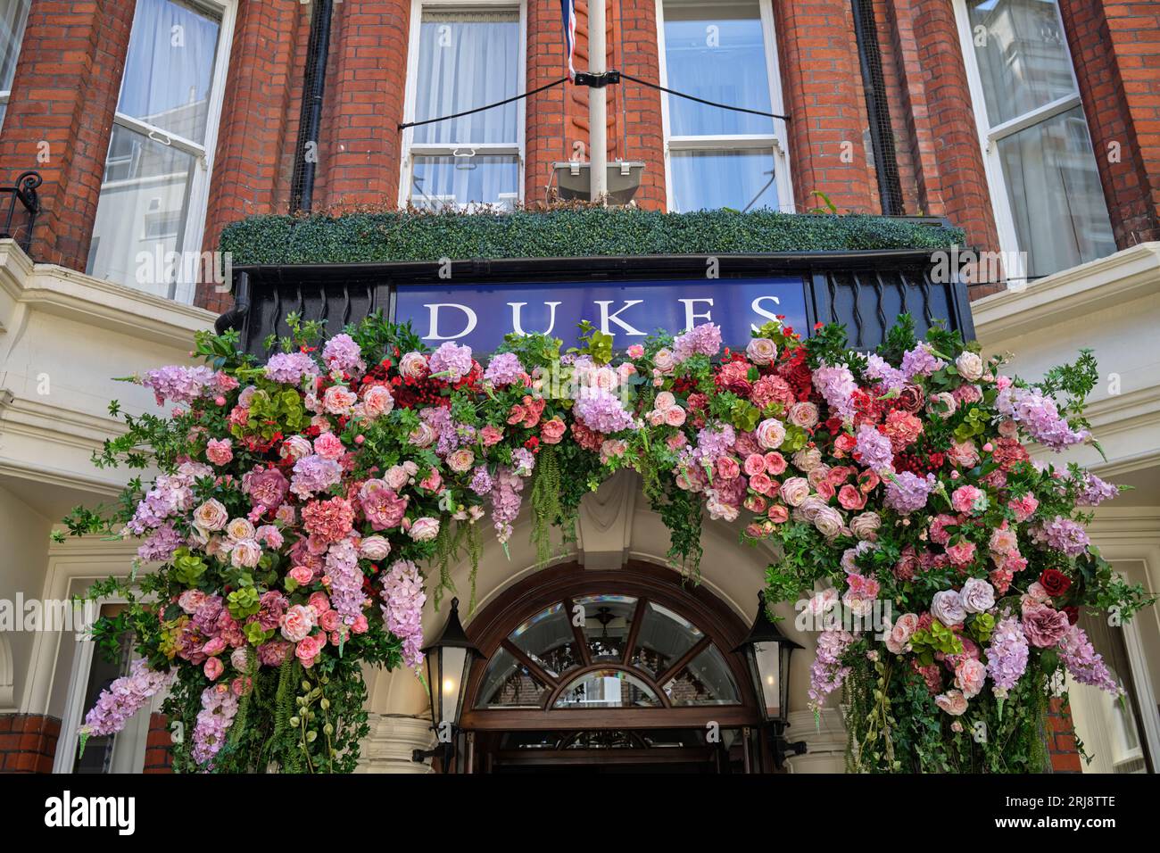 Dukes of st james hi-res stock photography and images - Alamy