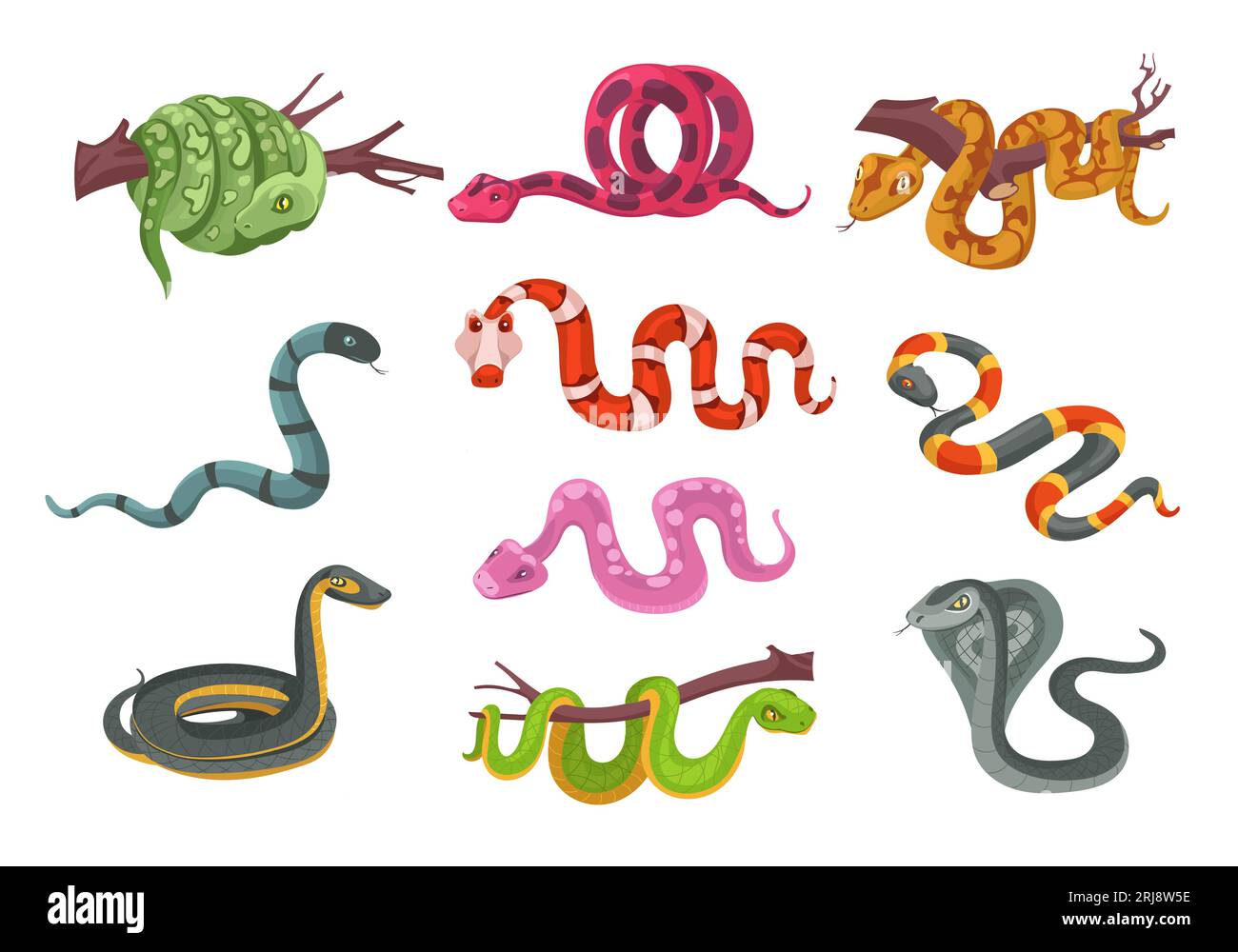 Cartoon reptiles. Different types color snakes. Poisonous and ...