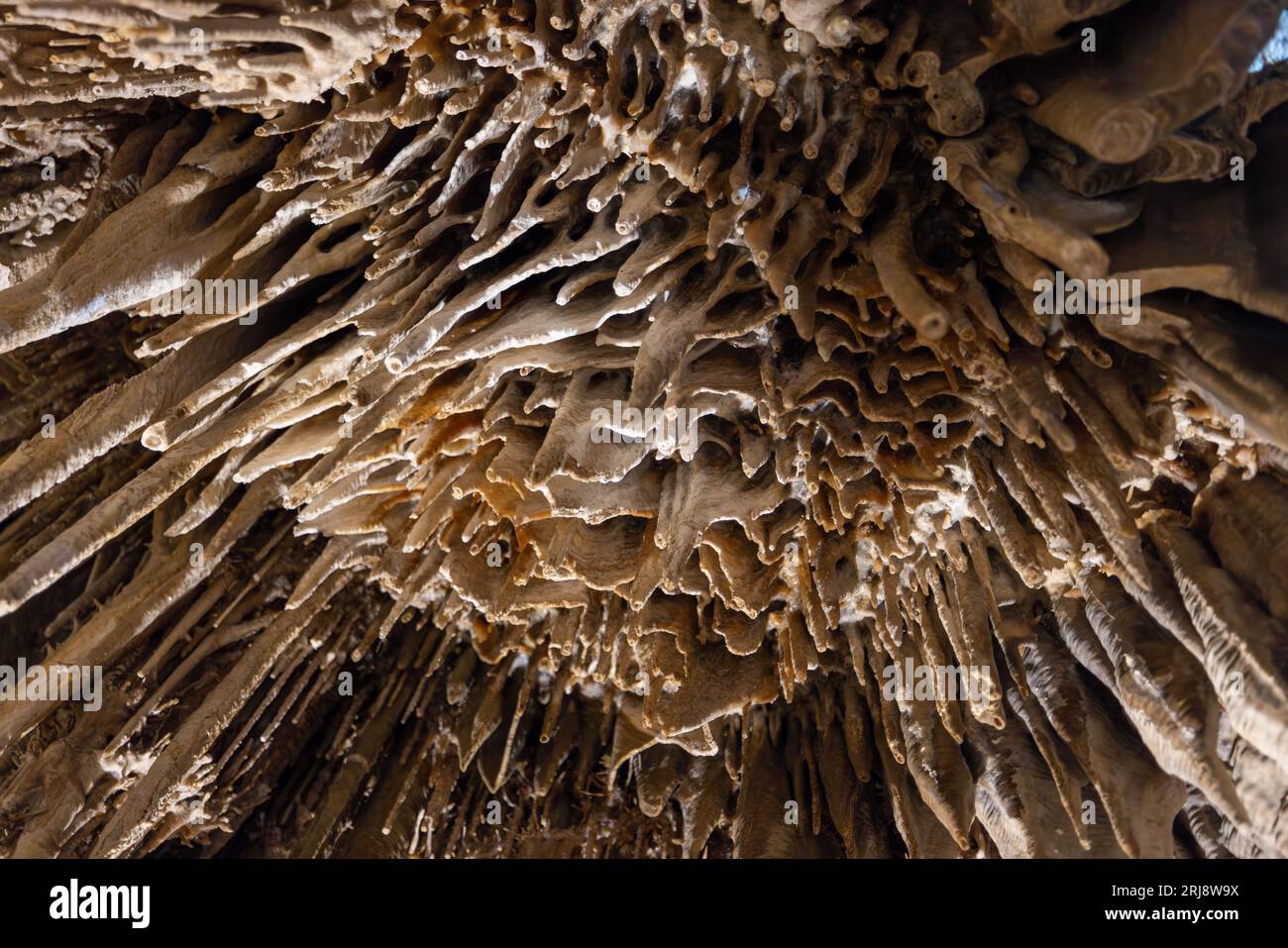 Rock formations inside of the Lehman Caves in Great Basin National Park ...