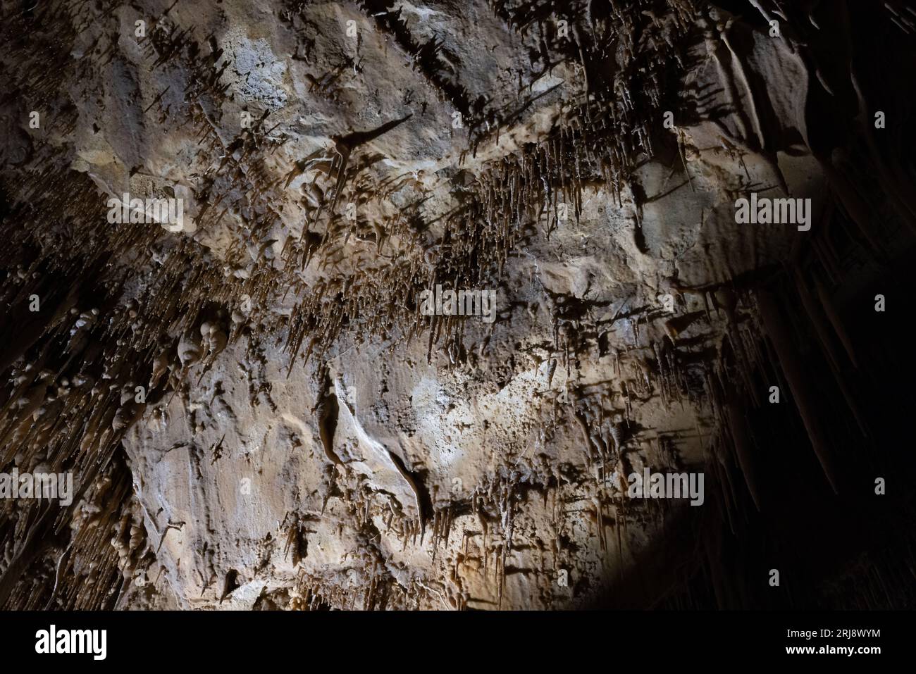Rock formations inside of the Lehman Caves in Great Basin National Park ...