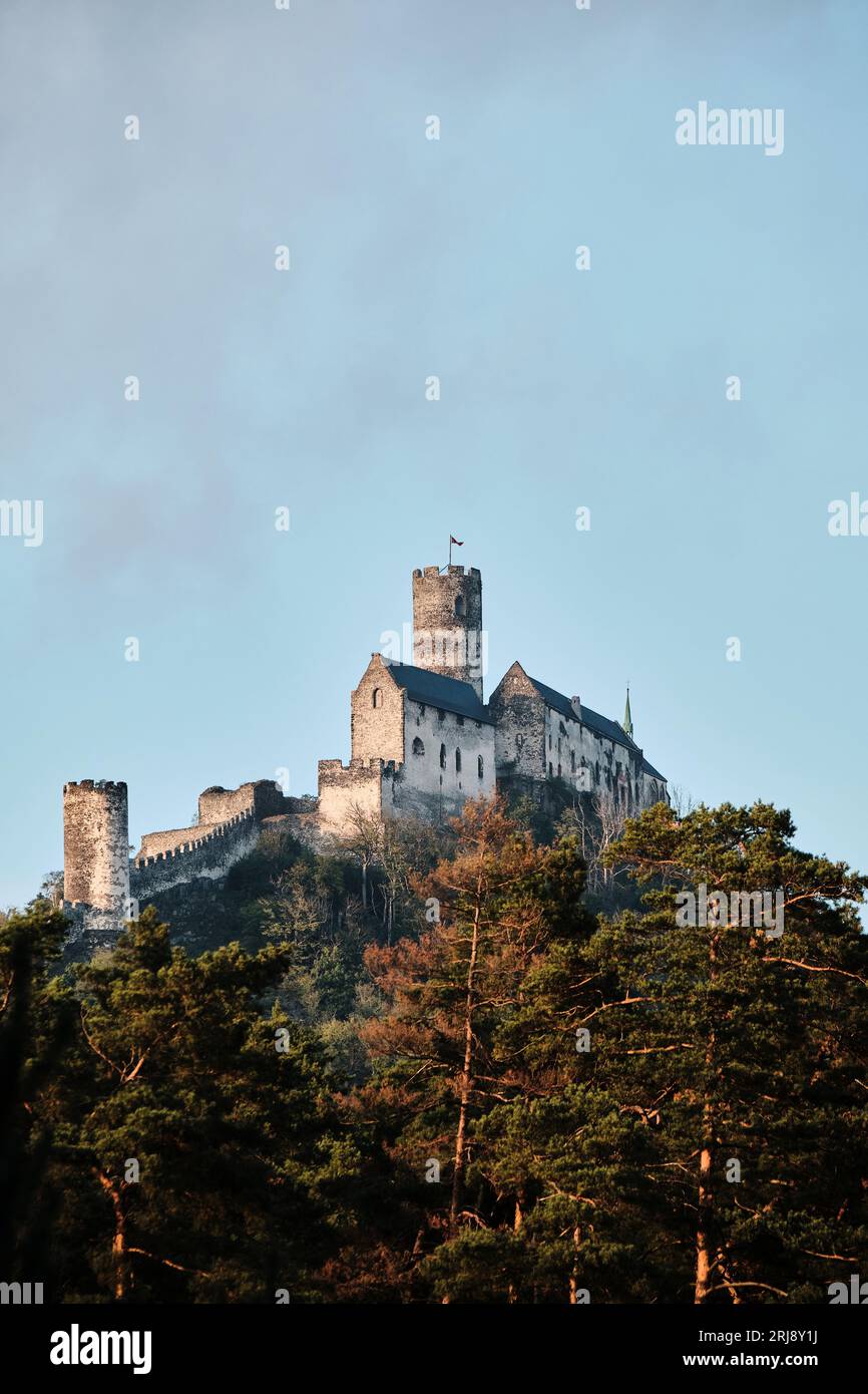 An impressive, ornate castle stands atop a grassy hill, surrounded by a ...