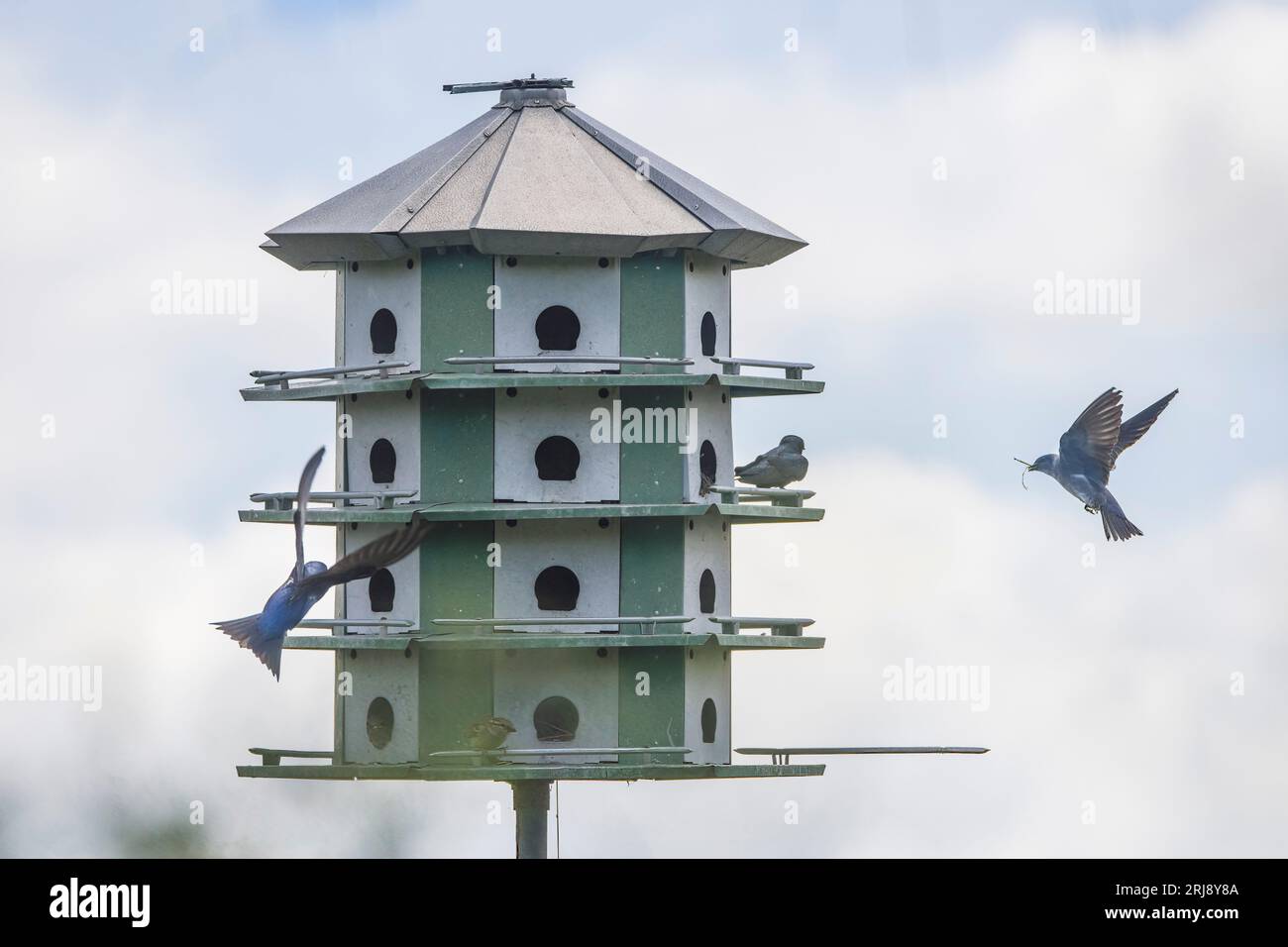 Rustic Purple Martin House