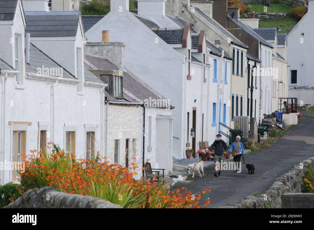 Whitewashed houses on Portnahaven harbour on the Island of Islay in ...