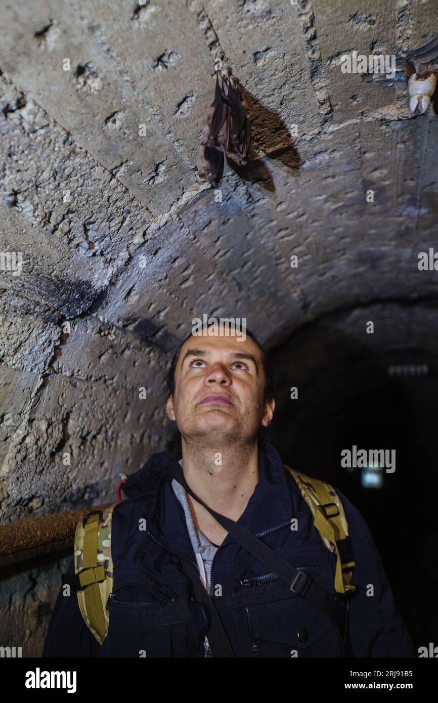 Explorer in underground tunnel looking on bats Stock Photo - Alamy