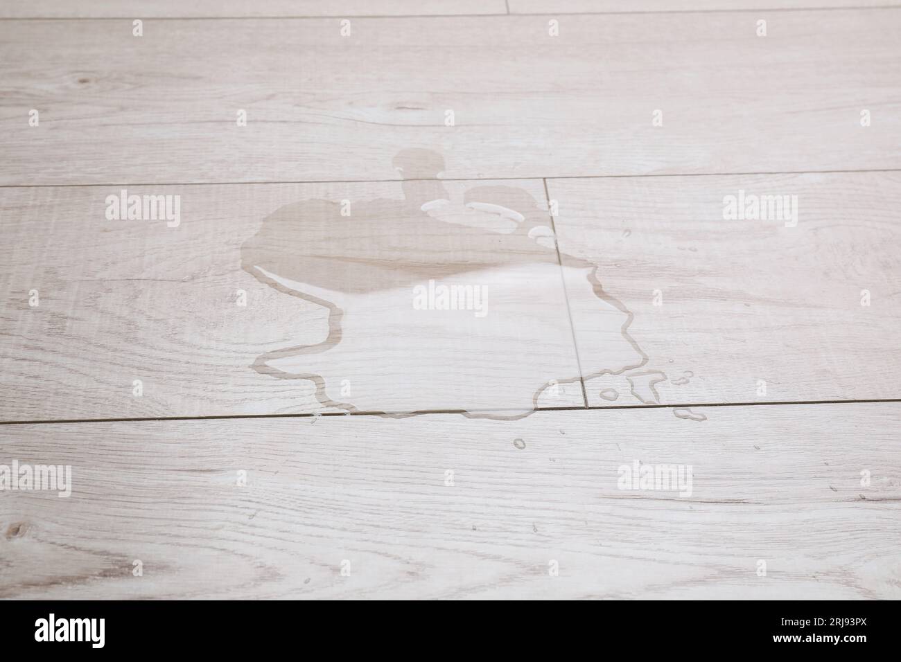 Puddle of water on wooden floor, closeup Stock Photo - Alamy