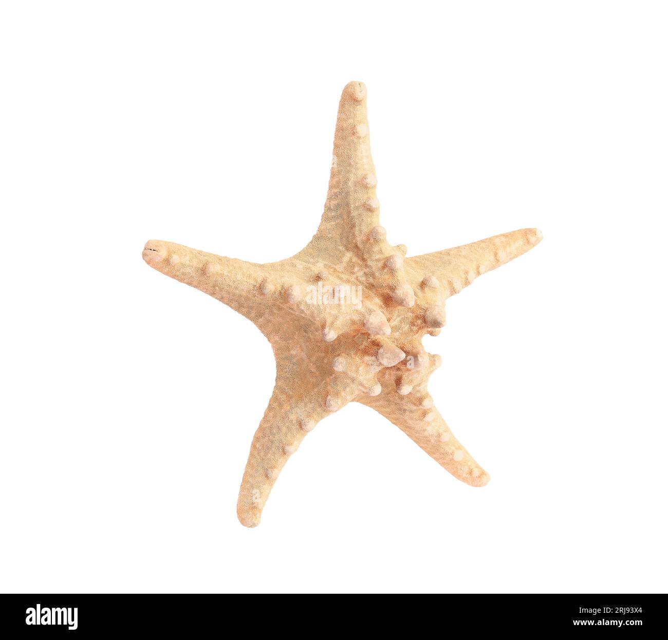 Beautiful sea star (starfish) isolated on white Stock Photo - Alamy