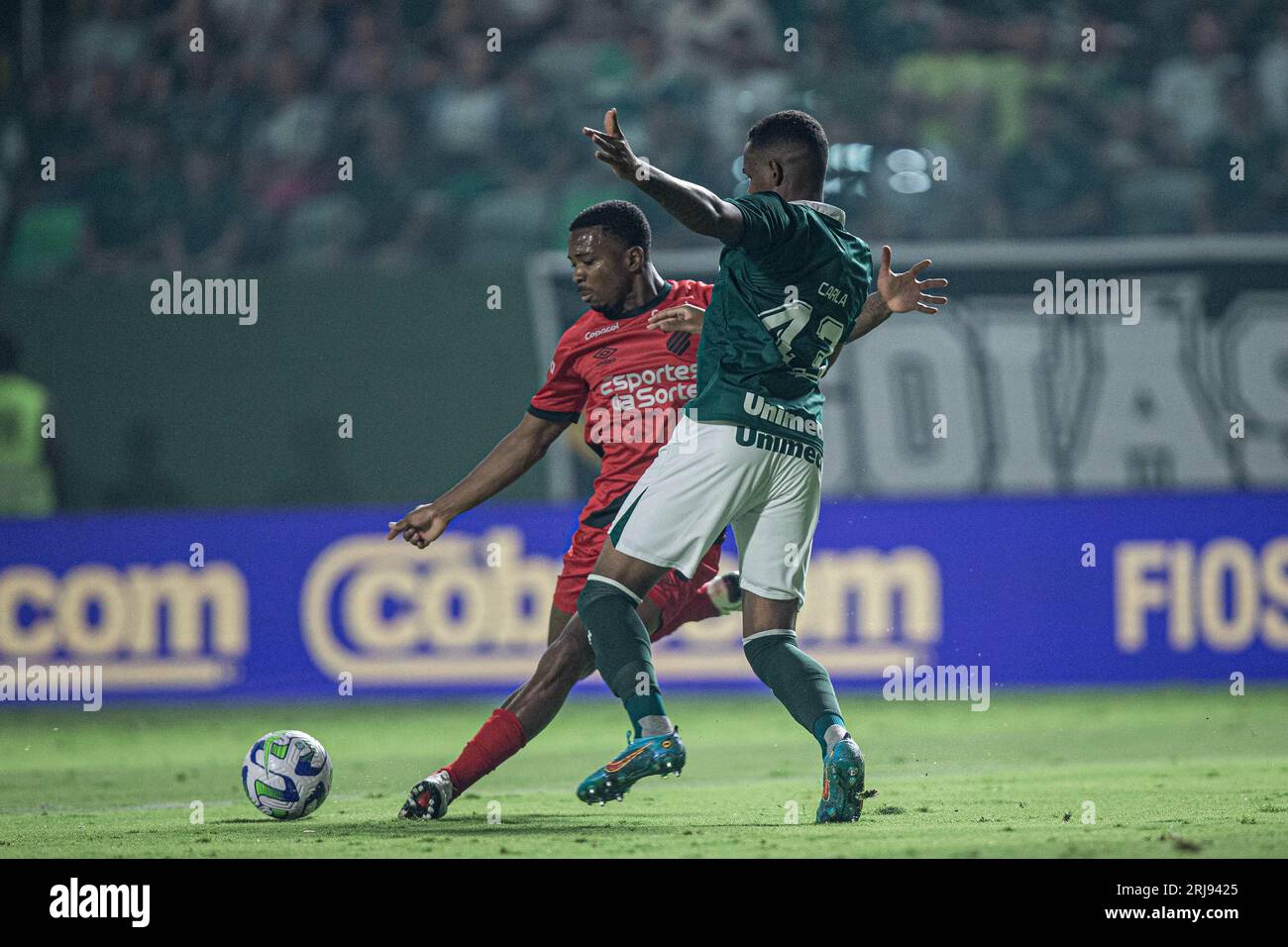 Goiania, Brazil. 21st Aug, 2023. GO - GOIANIA - 08/21/2023 - BRASILEIRO ...