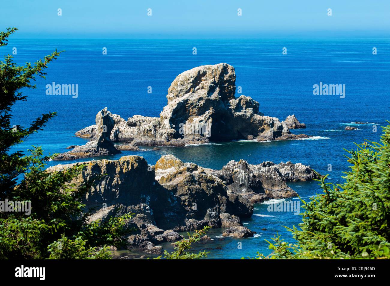 Ecola state park trails hi-res stock photography and images - Alamy