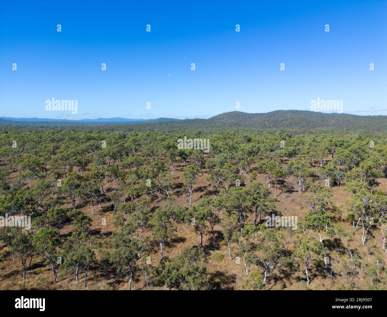 Aerial view of Australian outback bushland between Woodleigh Station ...