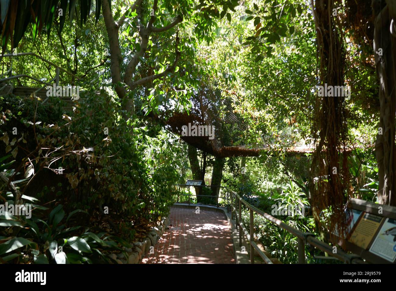 Los Angeles, California, USA 4th August 2023 Aviary at LA Zoo on August ...