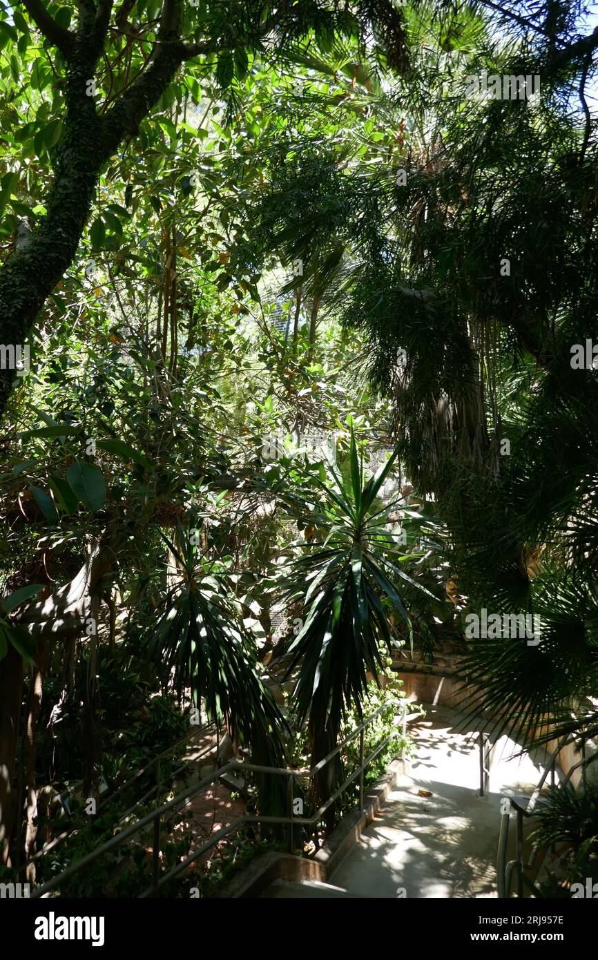 Los Angeles, California, USA 4th August 2023 Aviary at LA Zoo on August ...