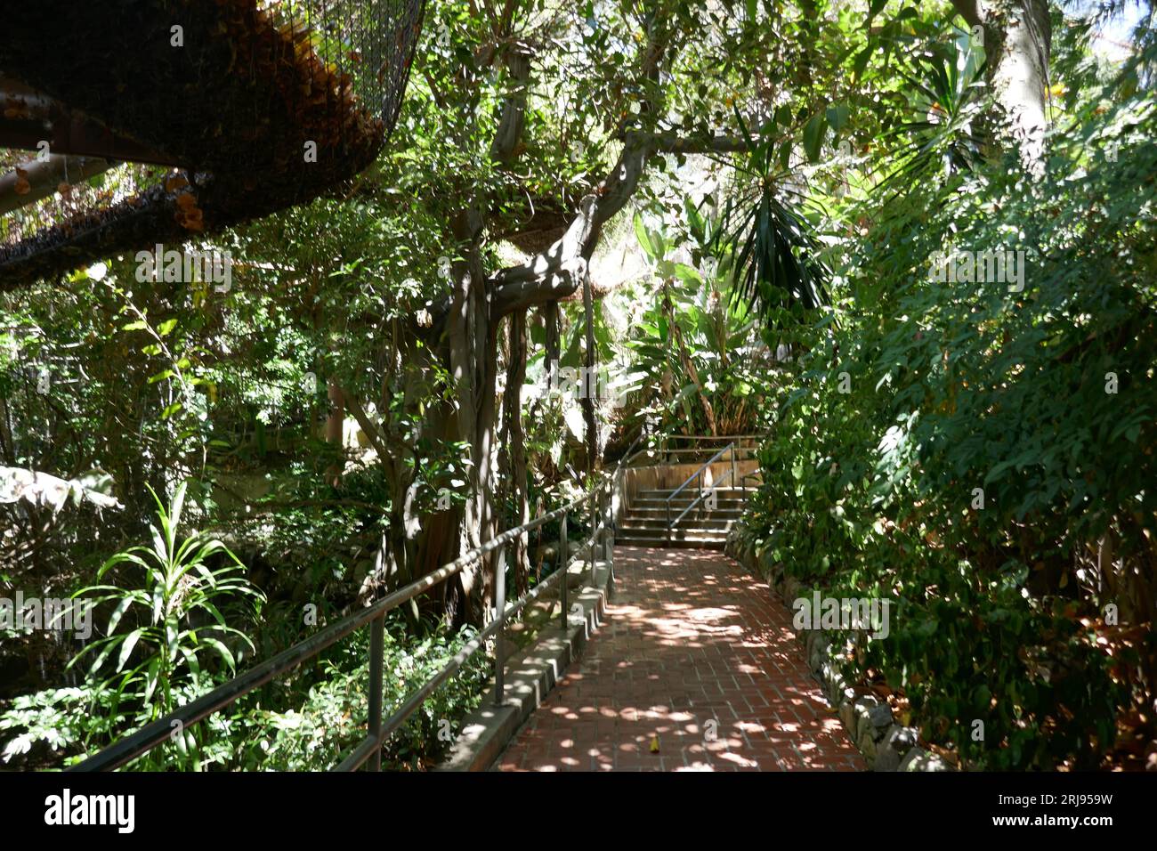 Los Angeles, California, USA 4th August 2023 Aviary at LA Zoo on August ...