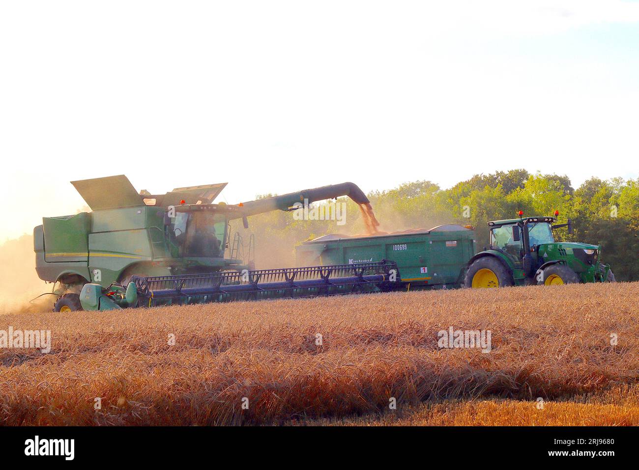 Farm workers in Buckinghamshire take advantage of harvesting a crop of ...