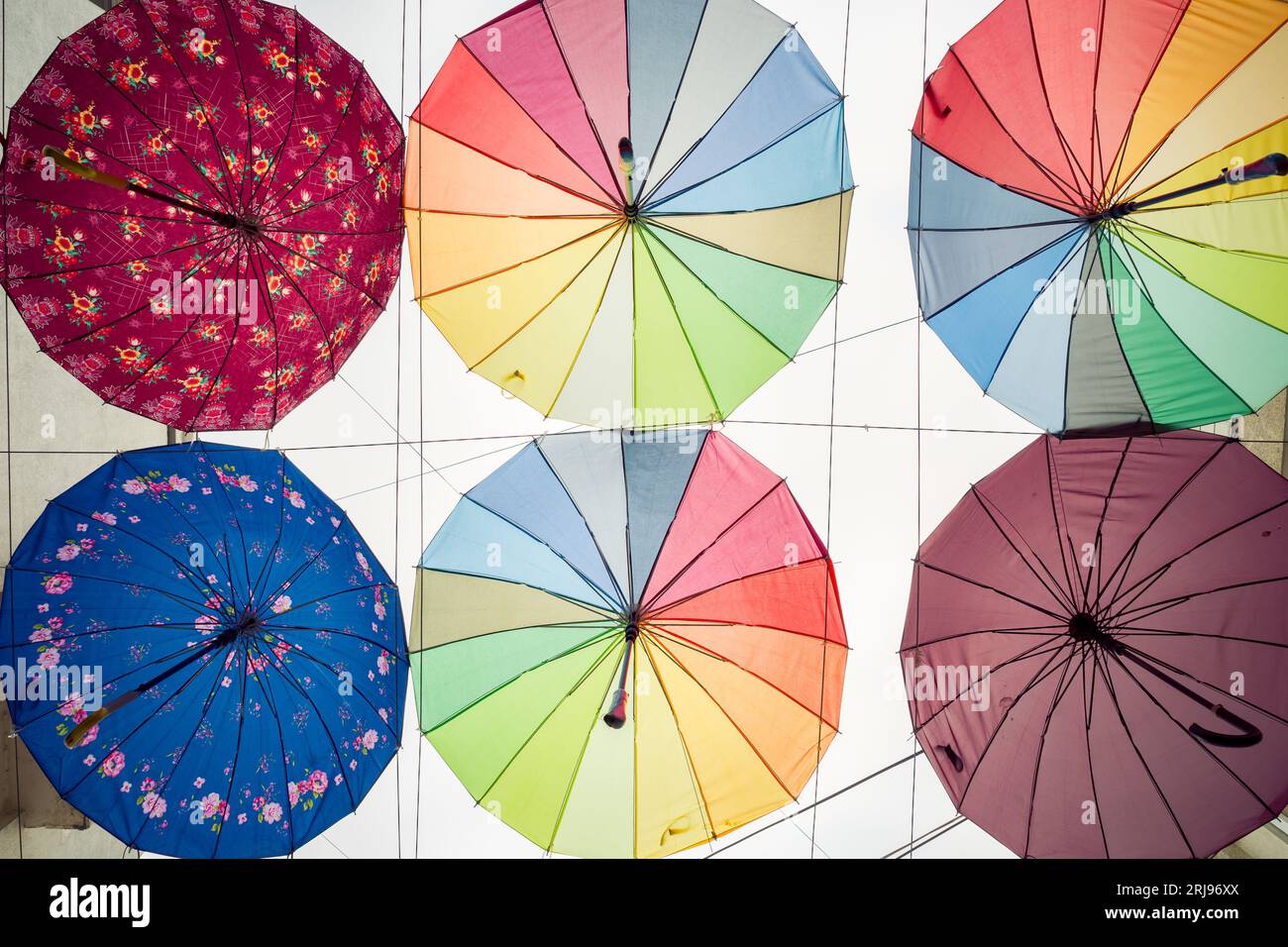 A vibrant wall display featuring an array of umbrellas in assorted ...