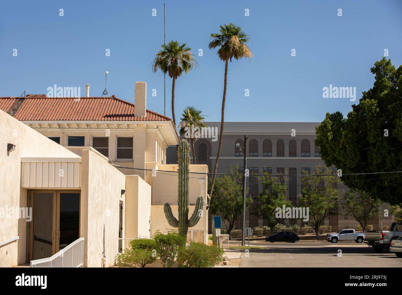 Yuma, Arizona, USA - May 27, 2022: Afternoon sun shines on a cactus and ...