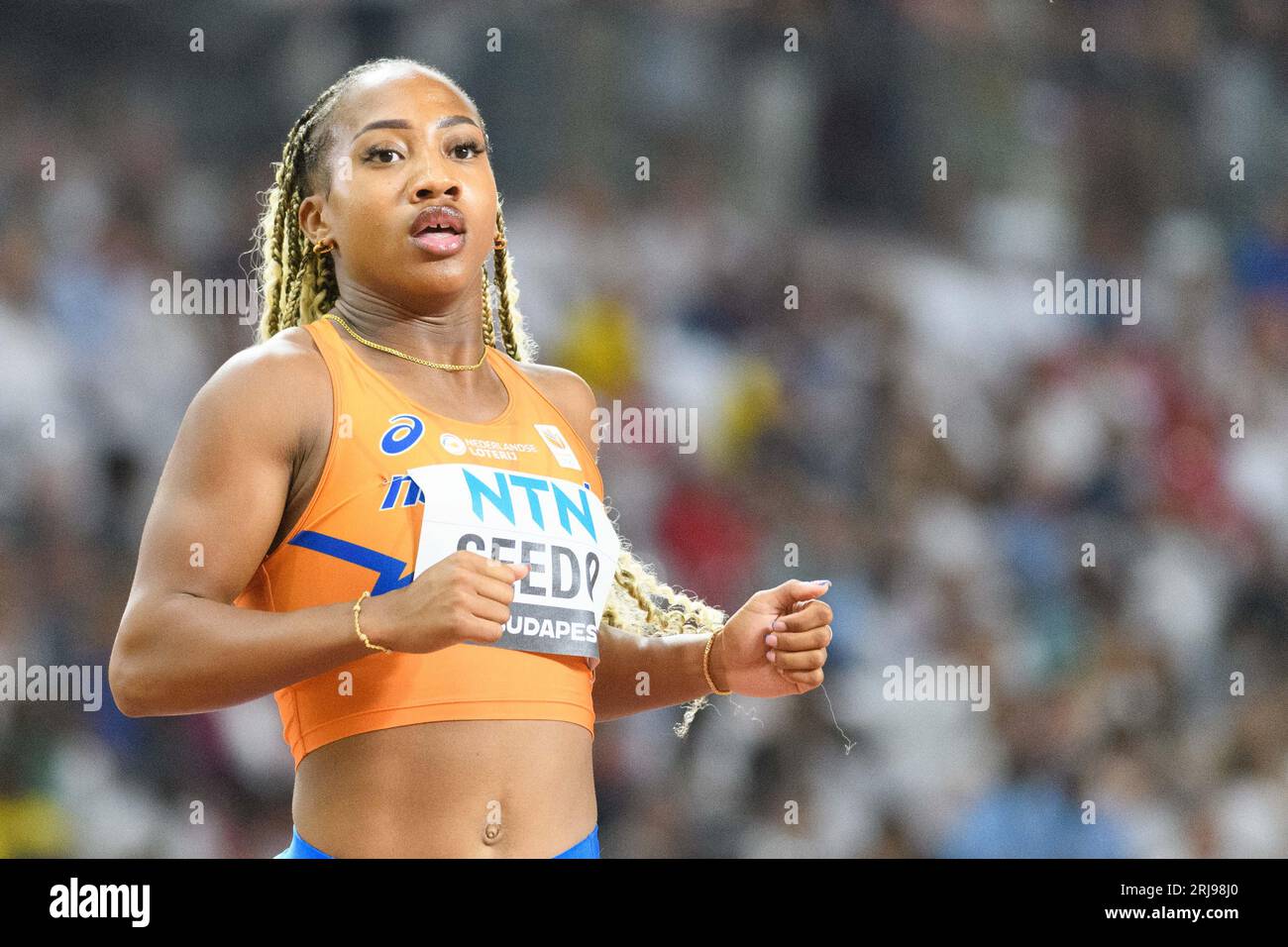 Nketia seedo of the netherlands hi-res stock photography and images - Alamy