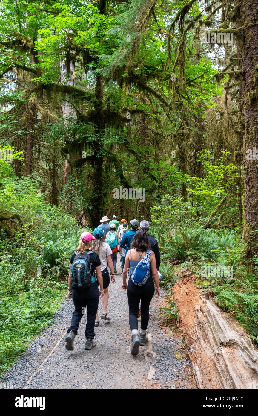 Olympic National Park, Washington - July 30, 2023 - People hiking Hall ...
