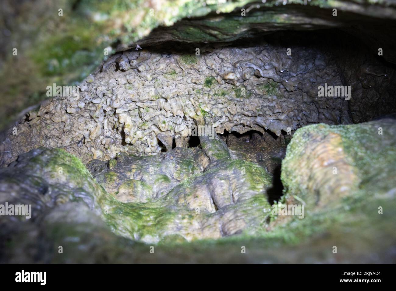Moss in a cave hi-res stock photography and images - Alamy