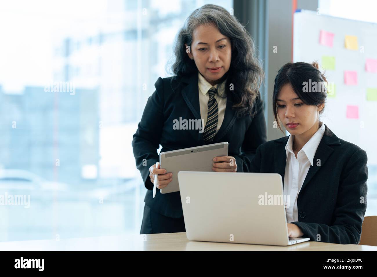 Two diverse financial assistant working on laptop while senior ...