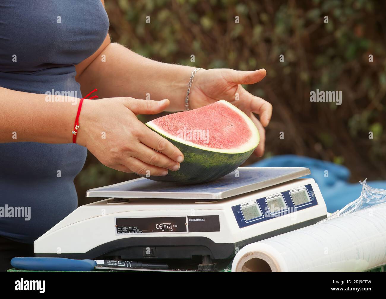 A woman at the farmers market wrapping portions of watermelon in ...