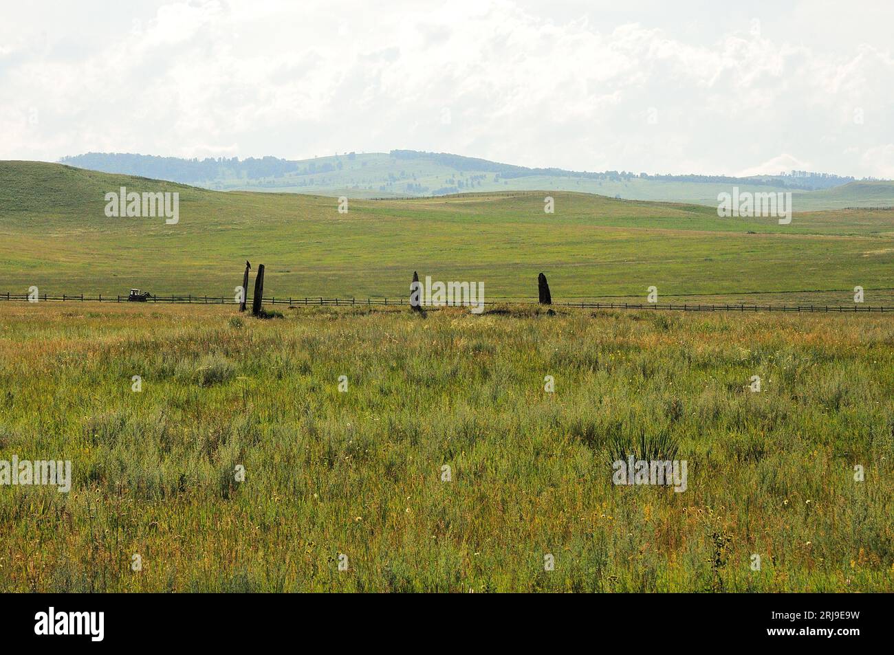 A plundered ancient mound with the remains of high burial stones in the ...