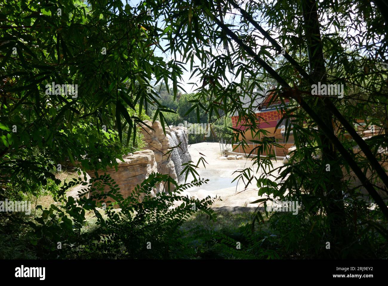 Los Angeles, California, USA 16th August 2023 Elephant Habitat at LA ...