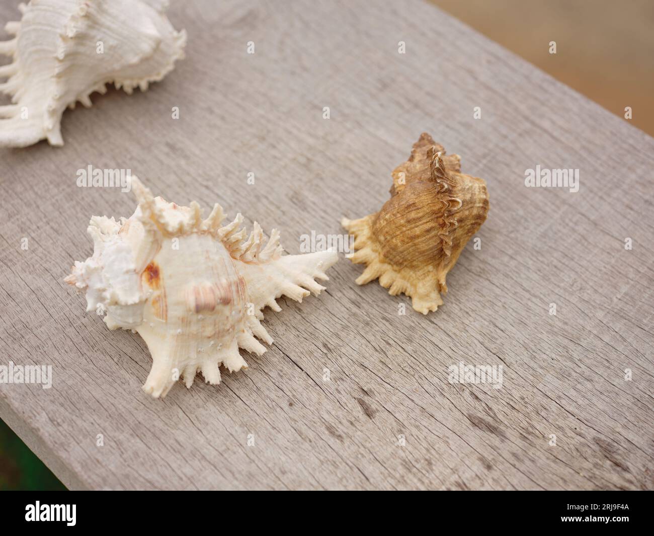 Wallpaper collection hi-res stock photography and images - Alamy