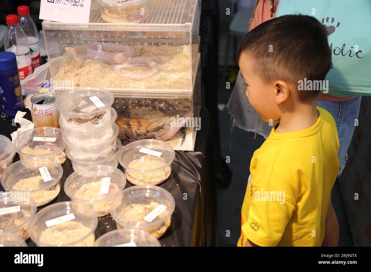 Children of the corn 2023 hi-res stock photography and images - Alamy
