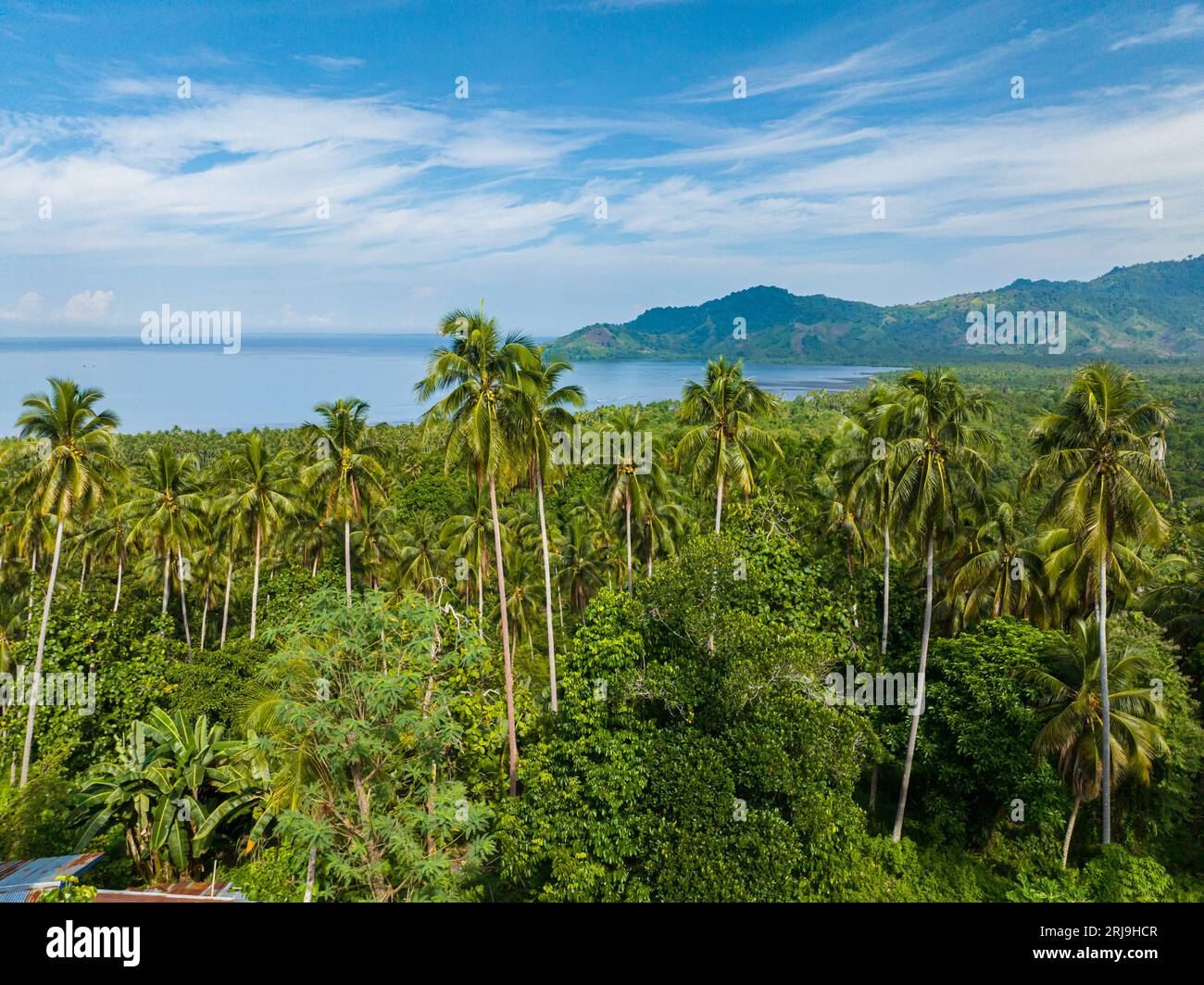 Topical landscape with rainforest and blue sea. Blue sky and clouds ...