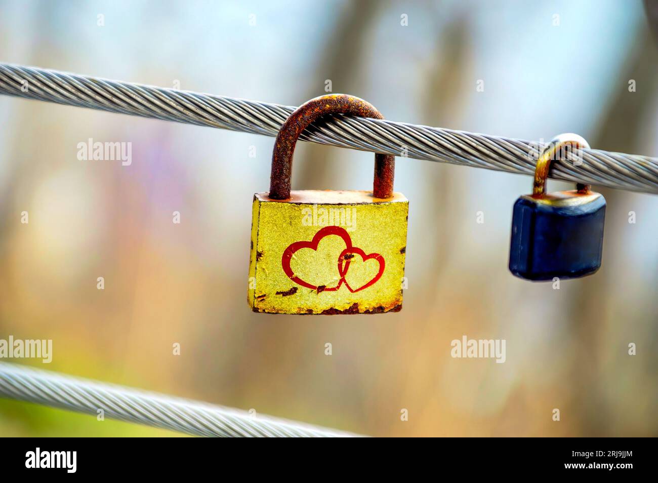 Old rusty yellow padlock with two hearts hanging on a metal fence next ...
