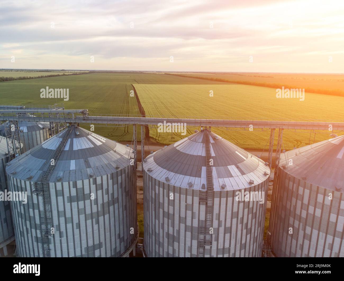 Grain silos on a green field background with warm sunset light. Grain ...