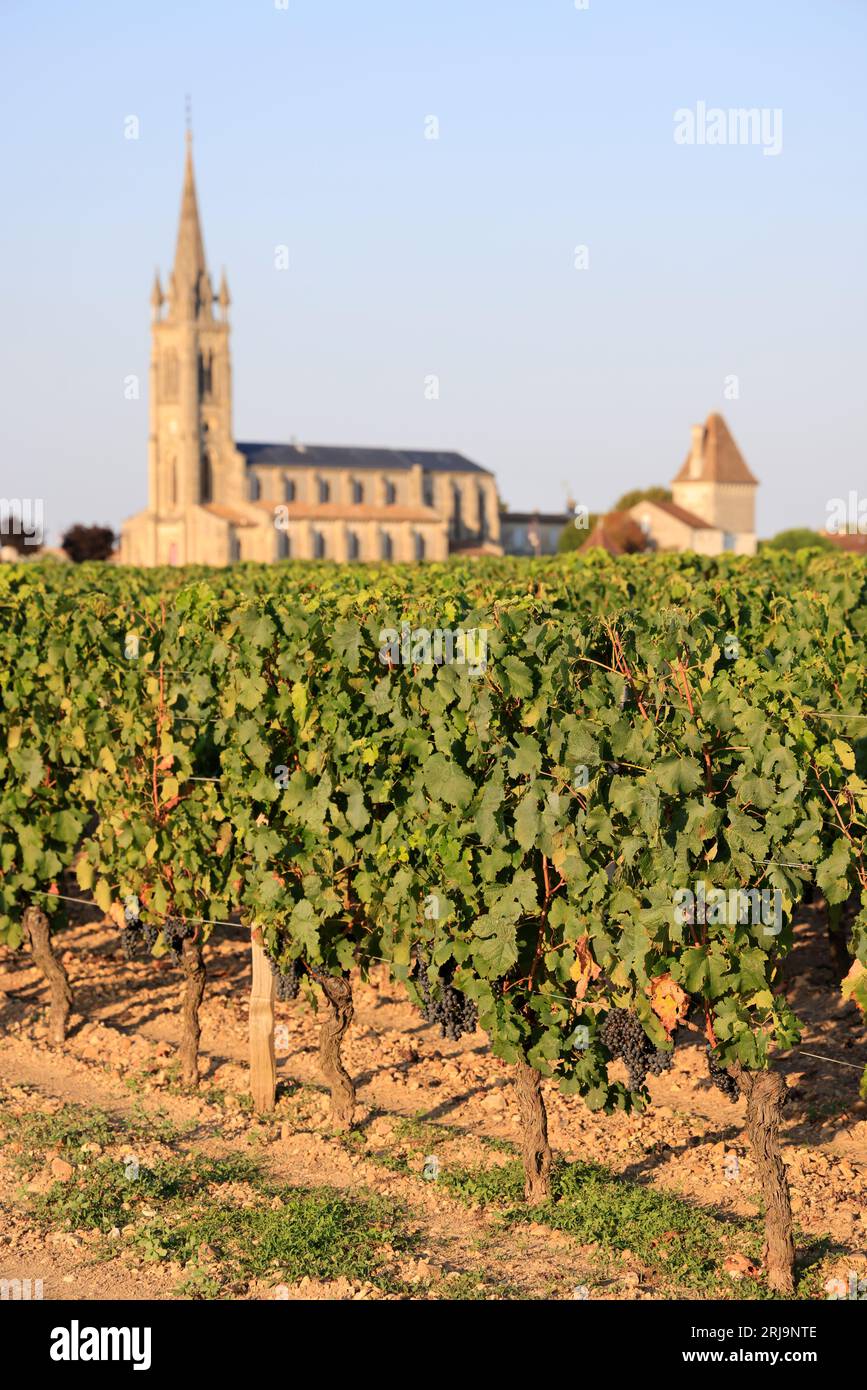 Pomerol france hi-res stock photography and images - Alamy