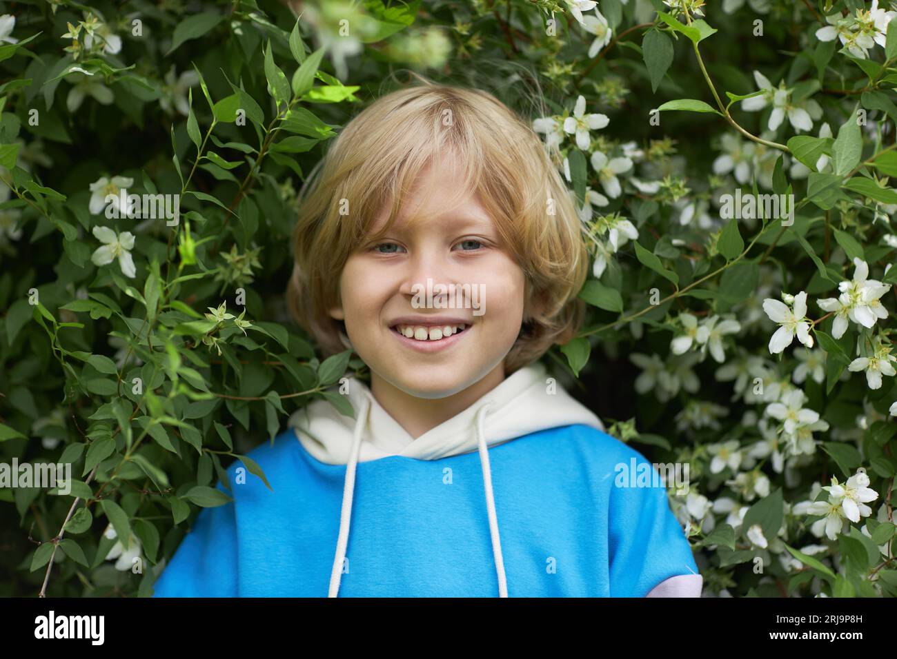 Front view portrait of smiling blonde boy in flowering bush outdoors ...
