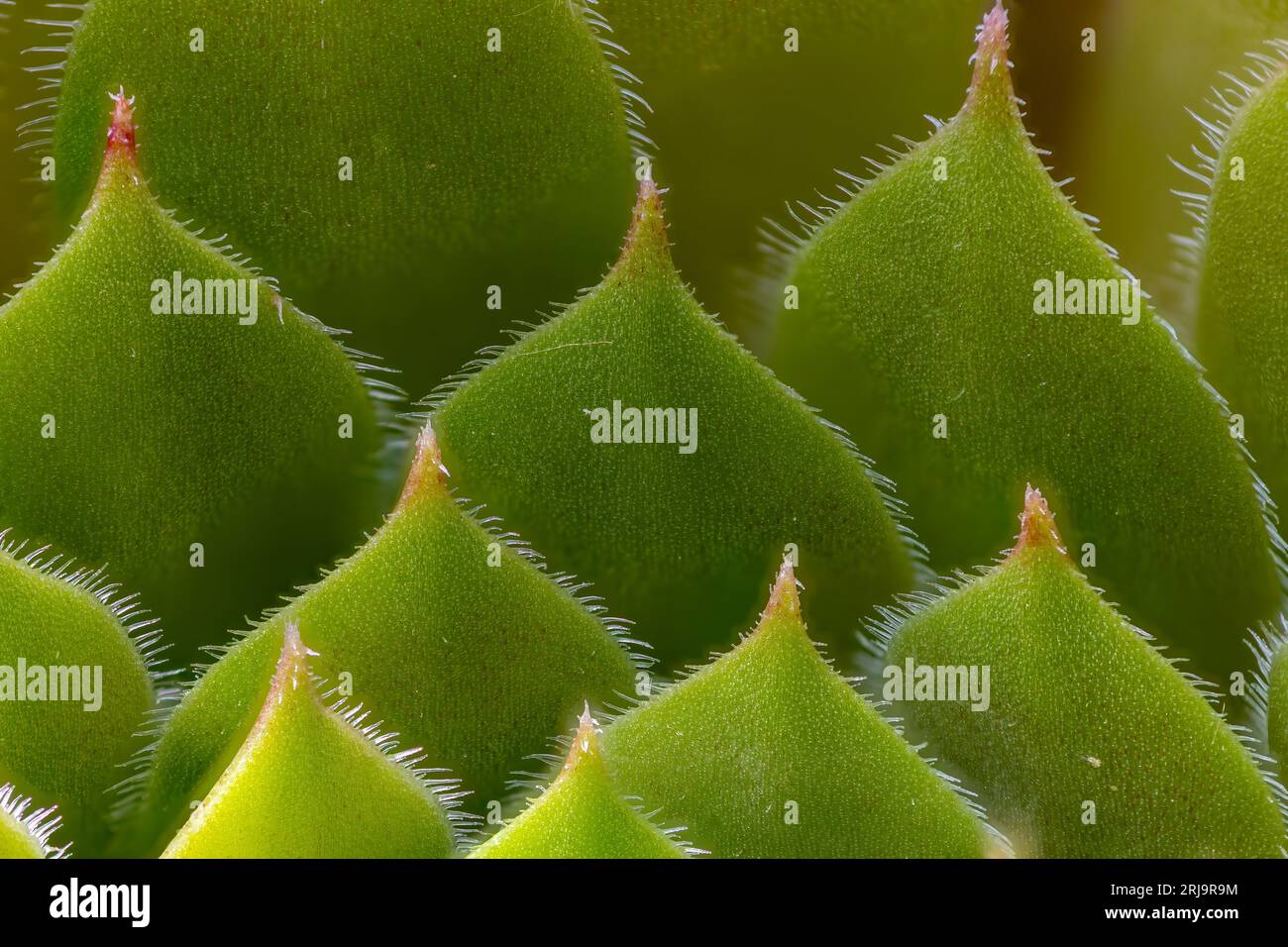 Tiny parts hi-res stock photography and images - Alamy