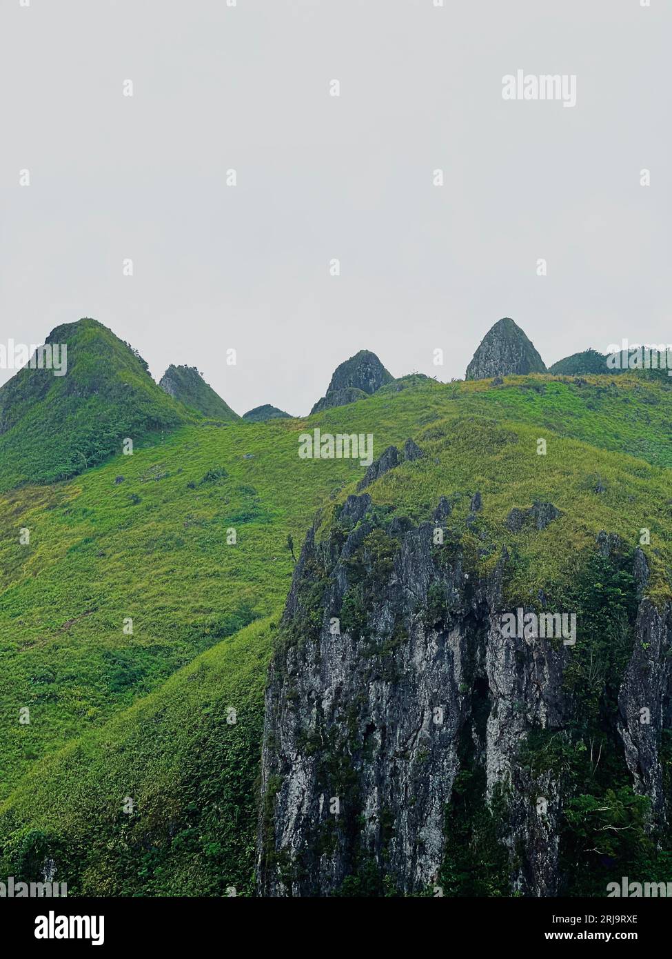 A majestic view of the lush green peaks of Osmena Peak in the ...
