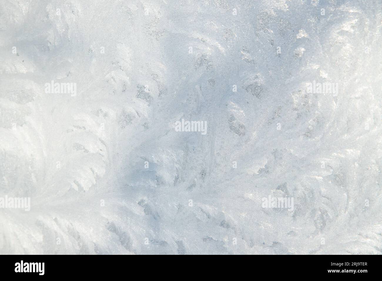 winter ice frozen glass with tree shadow, texture background, full ...