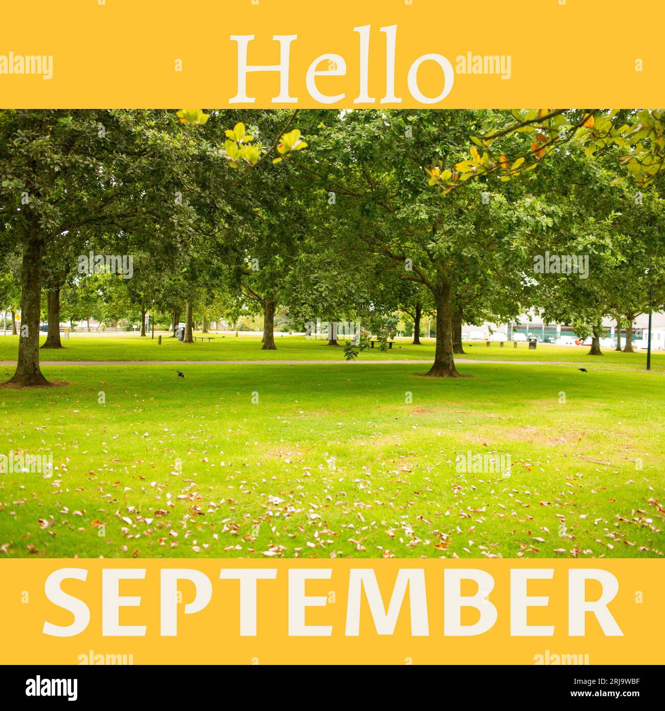 Hello september text autumn hi-res stock photography and images - Alamy