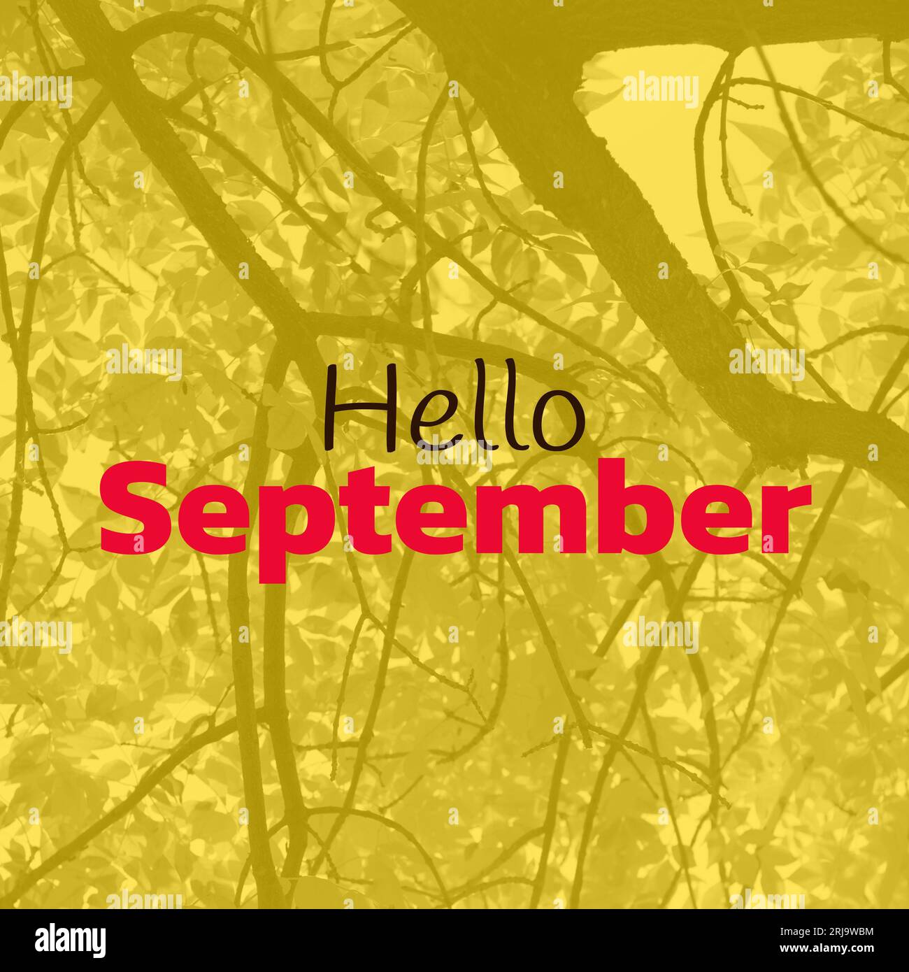 Composite of hello september text over trees in garden Stock Photo - Alamy