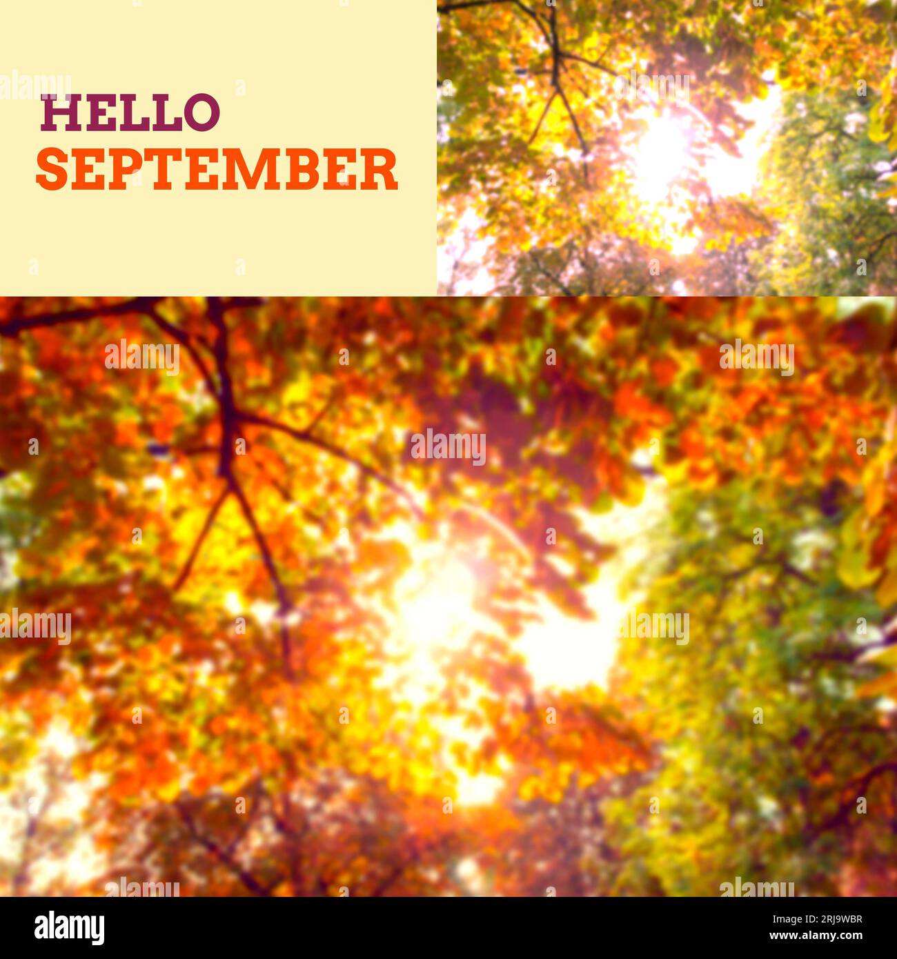 Composite of hello september text over autumn trees Stock Photo - Alamy