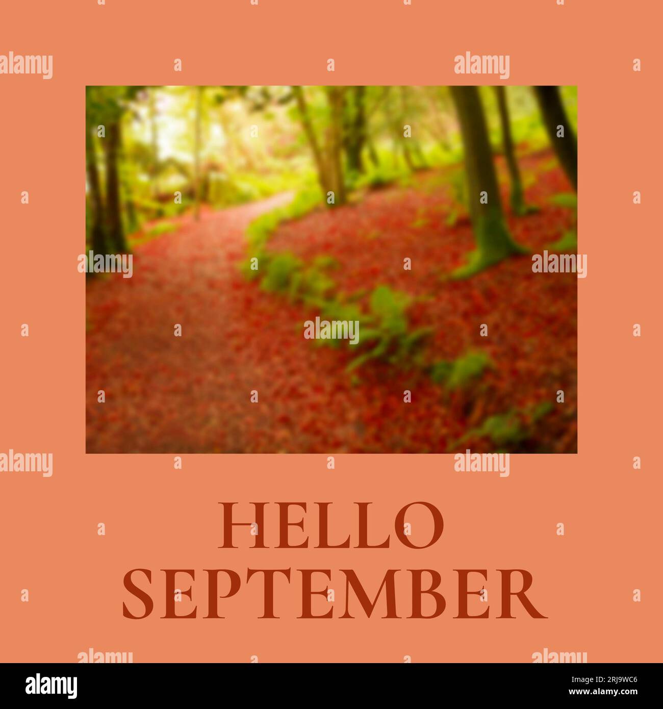 Composite garden hi-res stock photography and images - Alamy