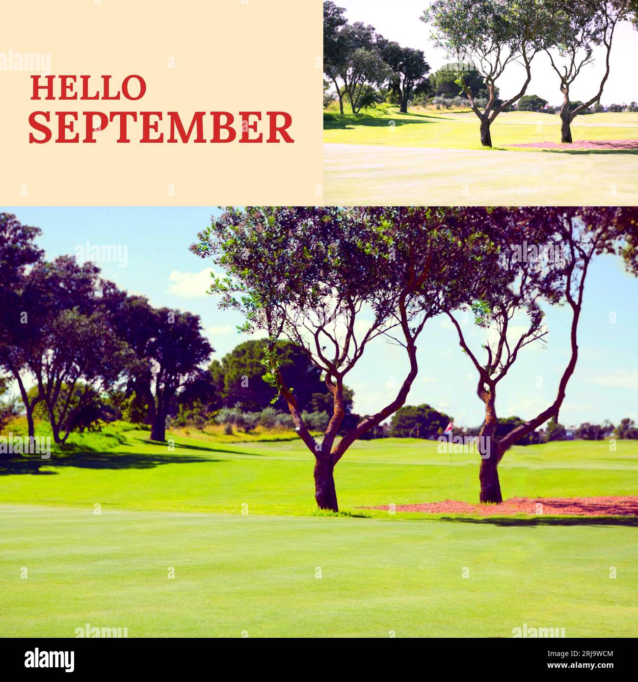 Composite of hello september text over trees in garden Stock Photo - Alamy