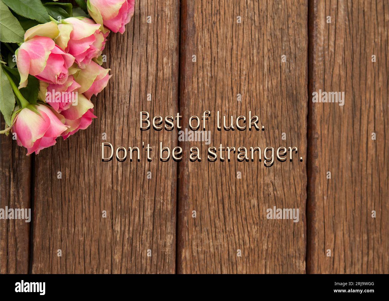 Composite of best of luck, don't be a stranger text with pink flowers ...