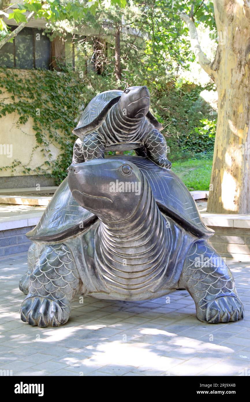 tortoise sculpture in a public park, China Stock Photo - Alamy