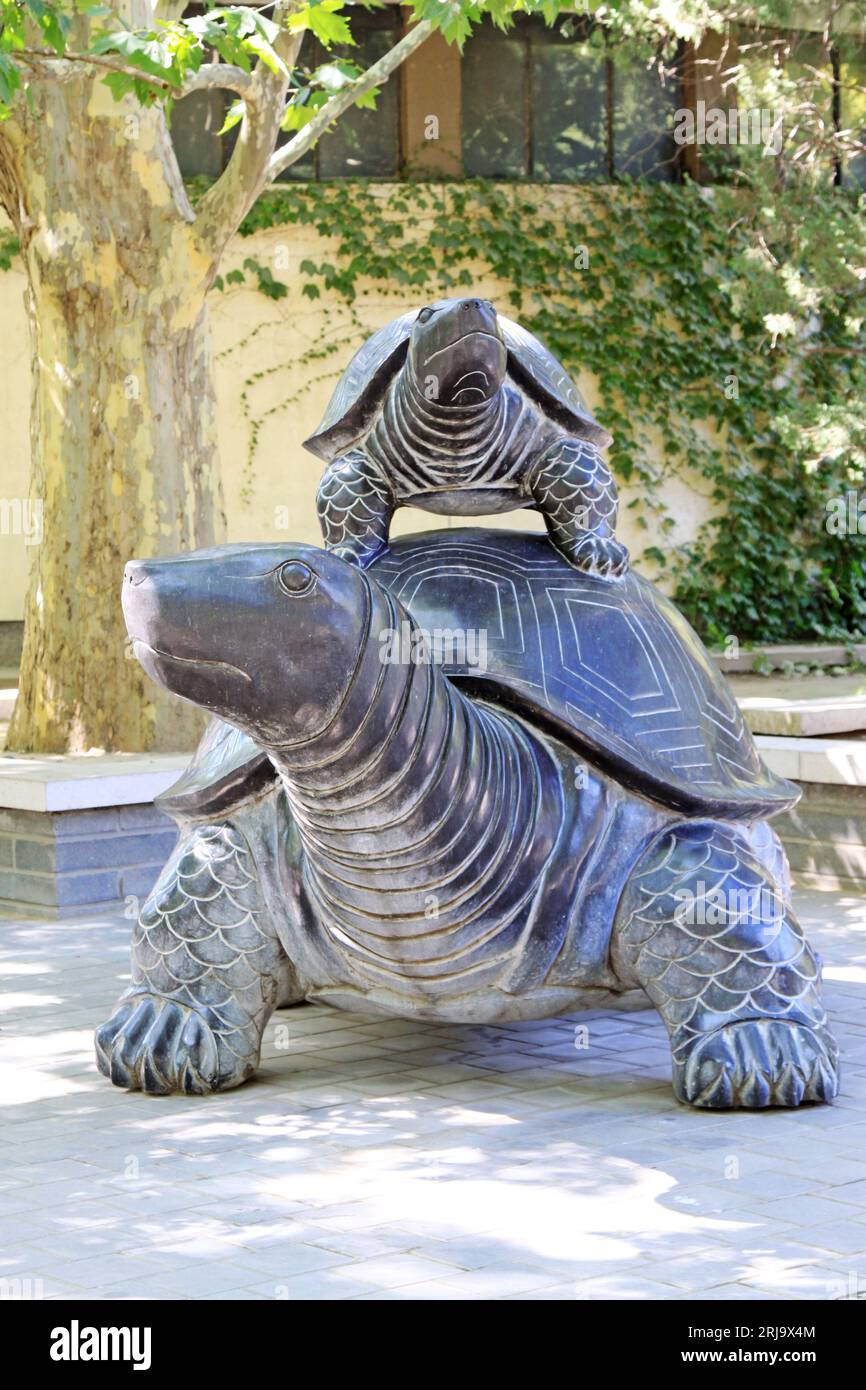 tortoise sculpture in a public park, China Stock Photo - Alamy