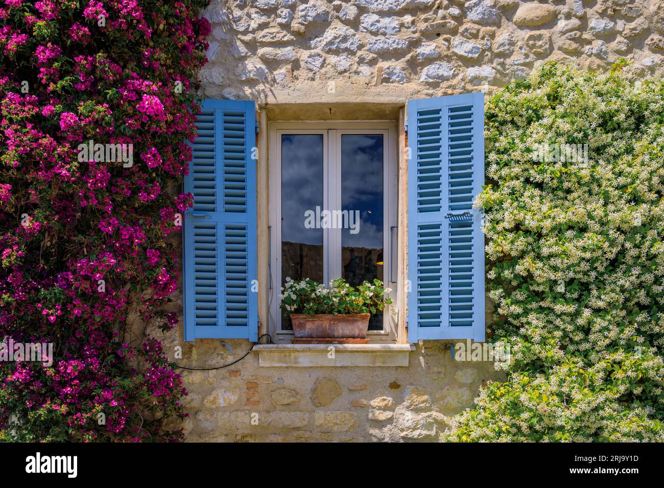 Bougainvilia and jasmine flower vines framing an old stone house window ...